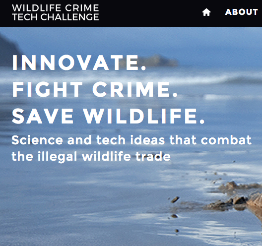 Wildlife Crime Tech Challenge Grand Prize Winner – Jennifer Jacquet