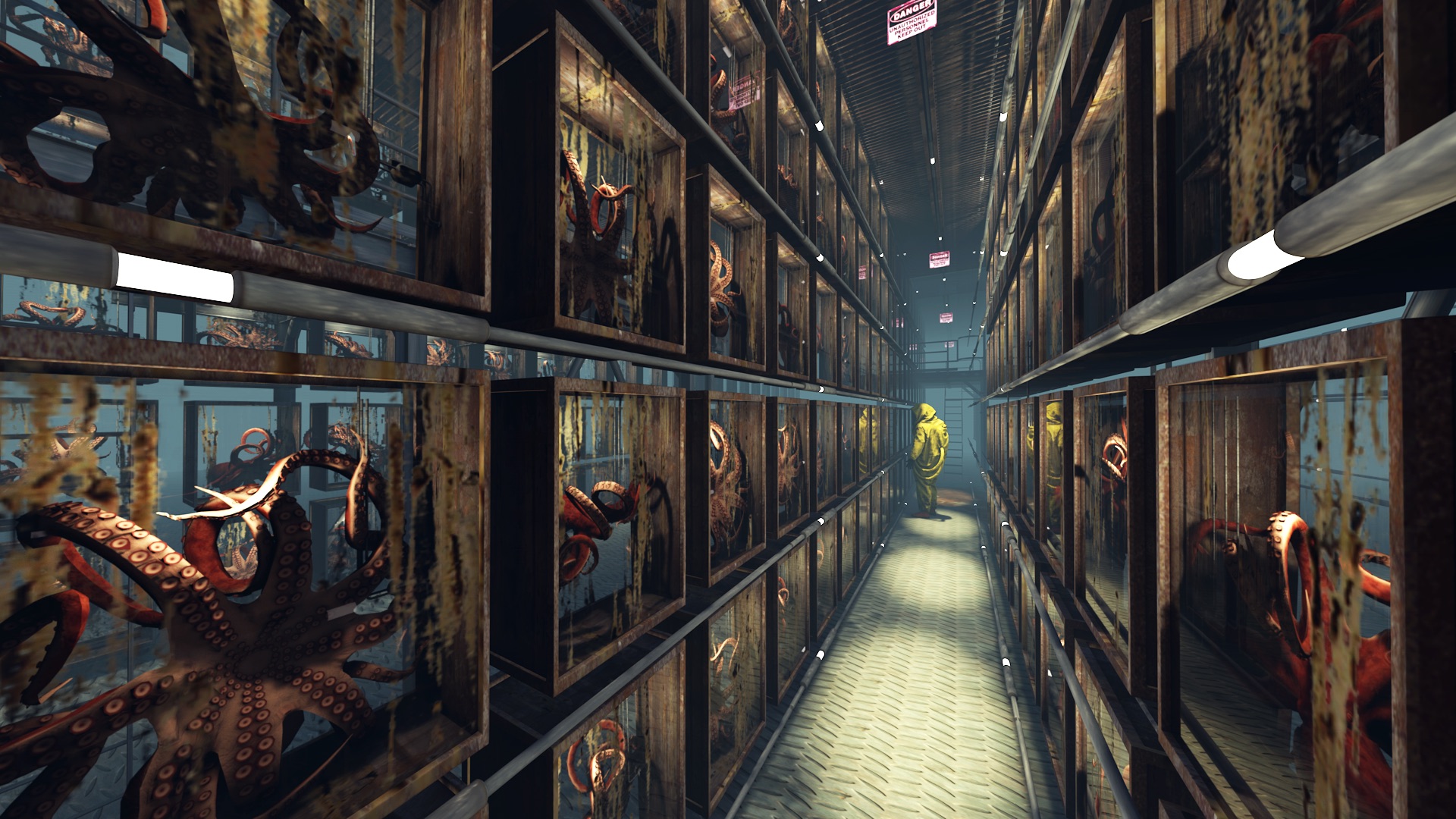 The case against octopus farming – Jennifer Jacquet